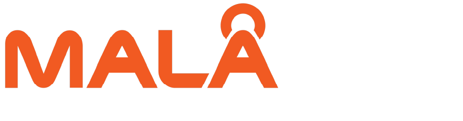 Ground Penetrating Radar- MALÅ ProEx - Guideline Geo